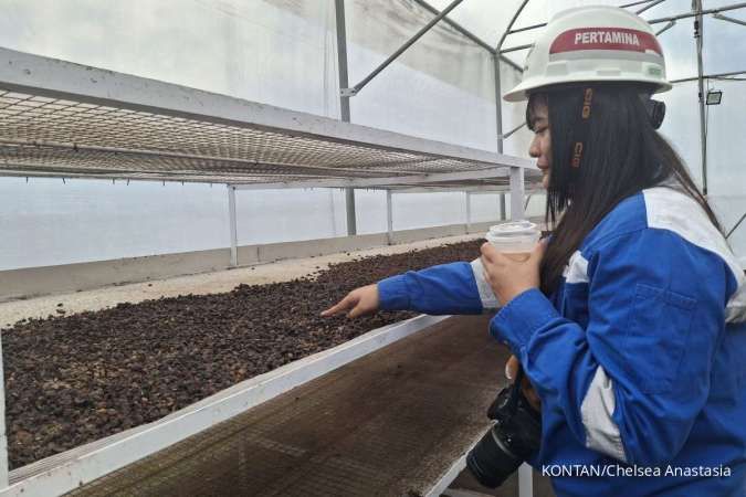 Pertamina Geothermal (PGEO) Dorong Produksi Kopi Panas Bumi