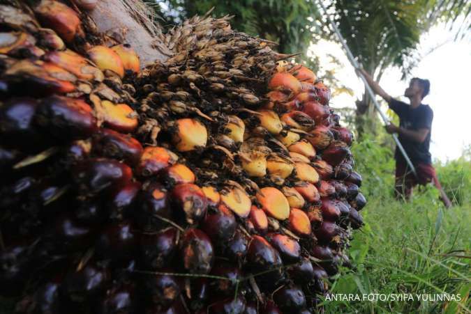 Menakar Peluang Bisnis dari Produk Turunan Kelapa Sawit