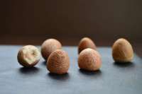 Naluri bisnis Tri Sumono terasah dari aksesori (2)