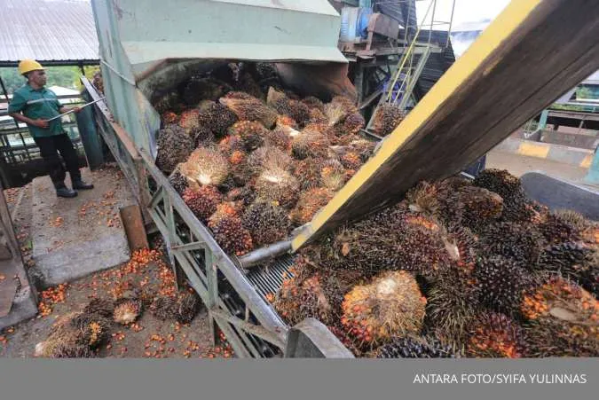 Indonesia's Jan-April Palm Oil Exports Rise 20% on Year to 7.7 Million ...