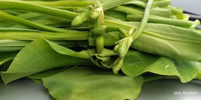 9 Manfaat Makan Sayur Genjer bagi Kesehatan Tubuh, Apa Saja ya?