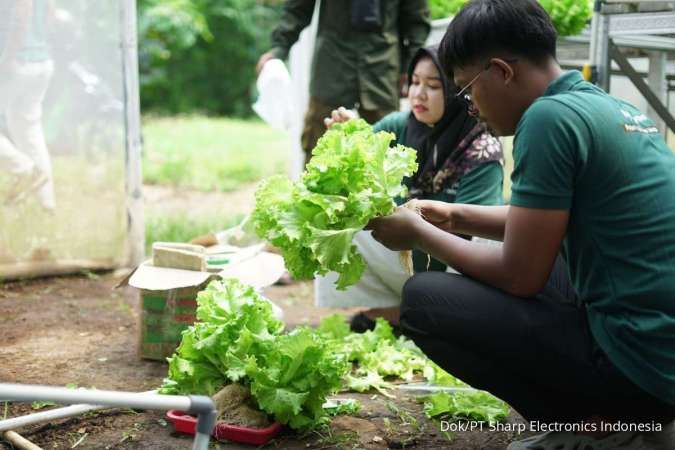 Sharp Hydro Heroes Sukses Ciptakan Petani Muda Berkelanjutan