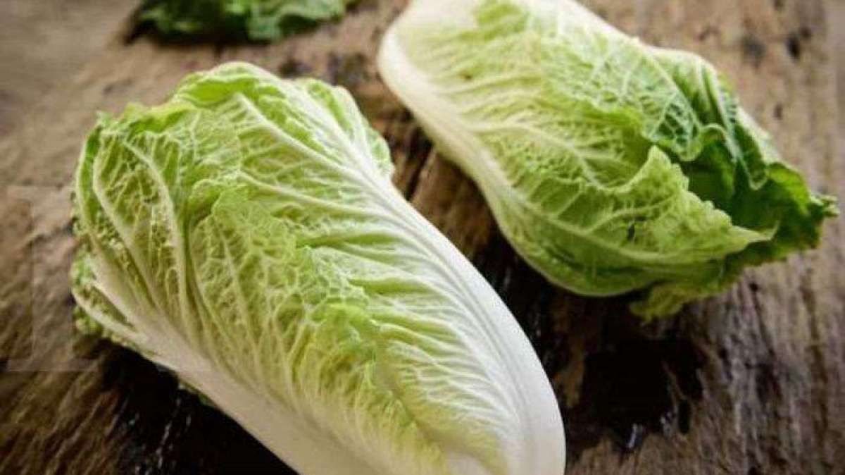 8 Manfaat Sawi Putih Untuk Kesehatan Tubuh yang Menarik Diketahui, Apa ...